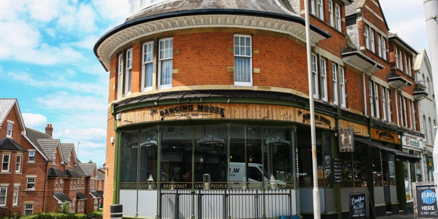 Ashley Cross - Dancing Moose